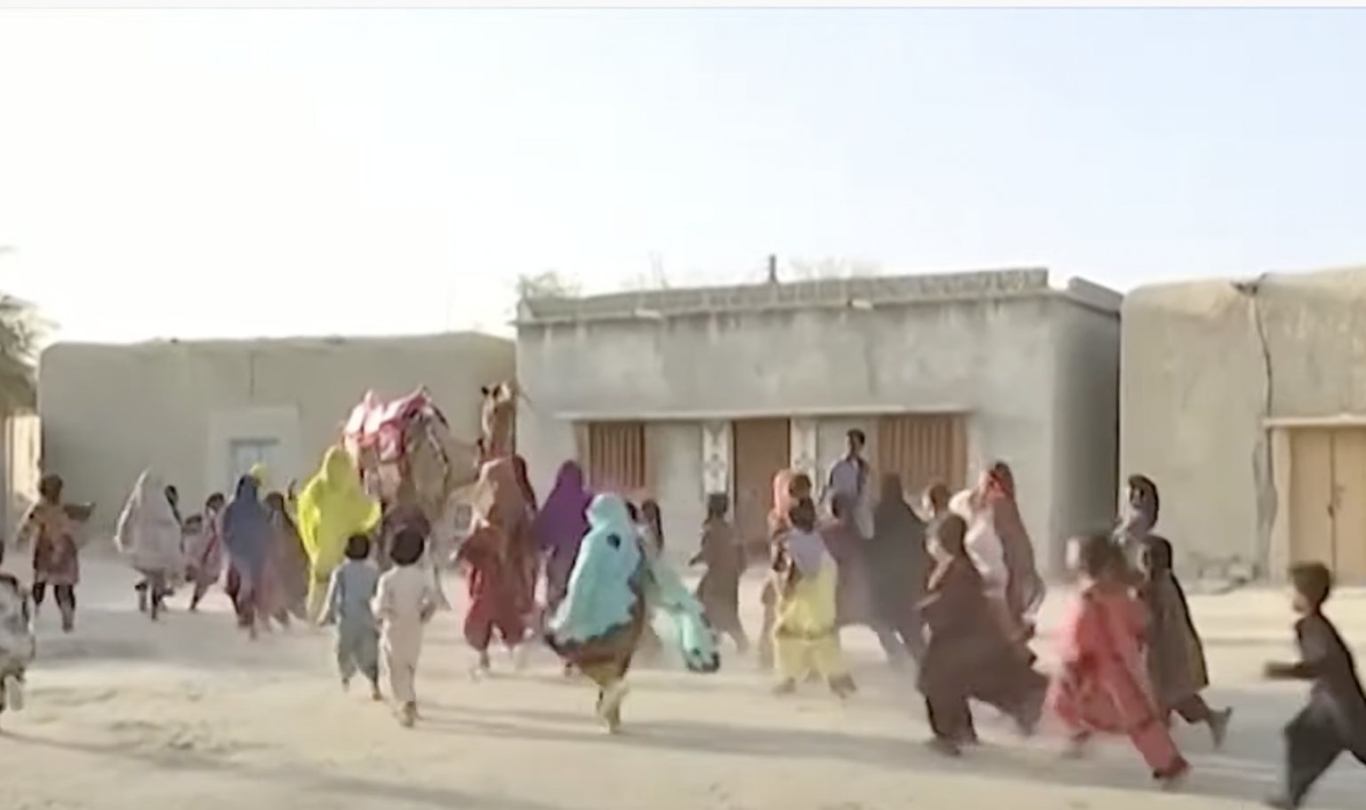 Camel Library Movement in Pakistan - Strafasia | Strategy, analysis ...